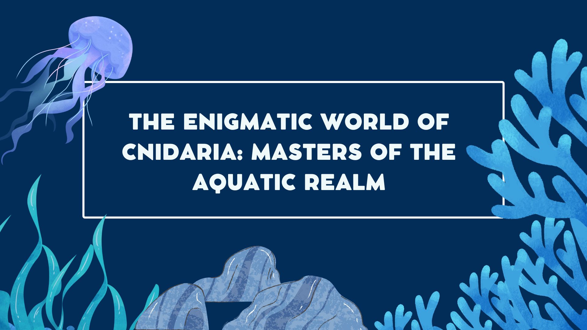 The Enigmatic World of Cnidaria: Masters of the Aquatic Realm